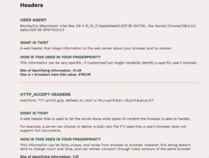 Best Online Tools for Checking IP and Browser Fingerprint - Your Guide ...