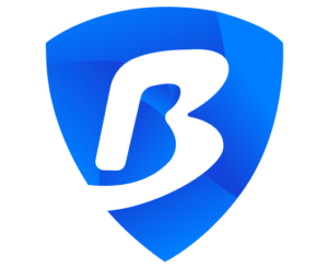 BitBrowser: Complete Review 2024 - Your Guide to Web browsers